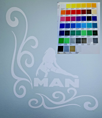 MAN truck window decals x 2. truck stickers, TGA TGS TGX | eBay