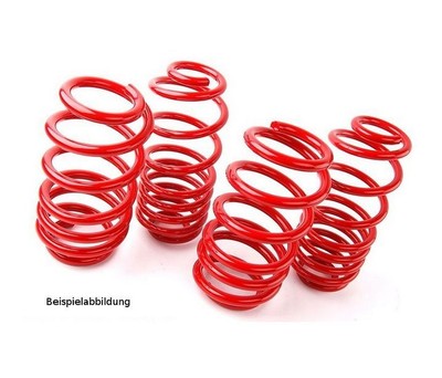TA Technix Lowering Springs 30/20mm For BMW 3 Series Touring E91 2005 ...