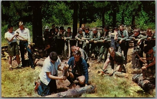 1960s East Jewett, NY Postcard BOY SCOUT CAMP Tri-Mount / Rip Van ...