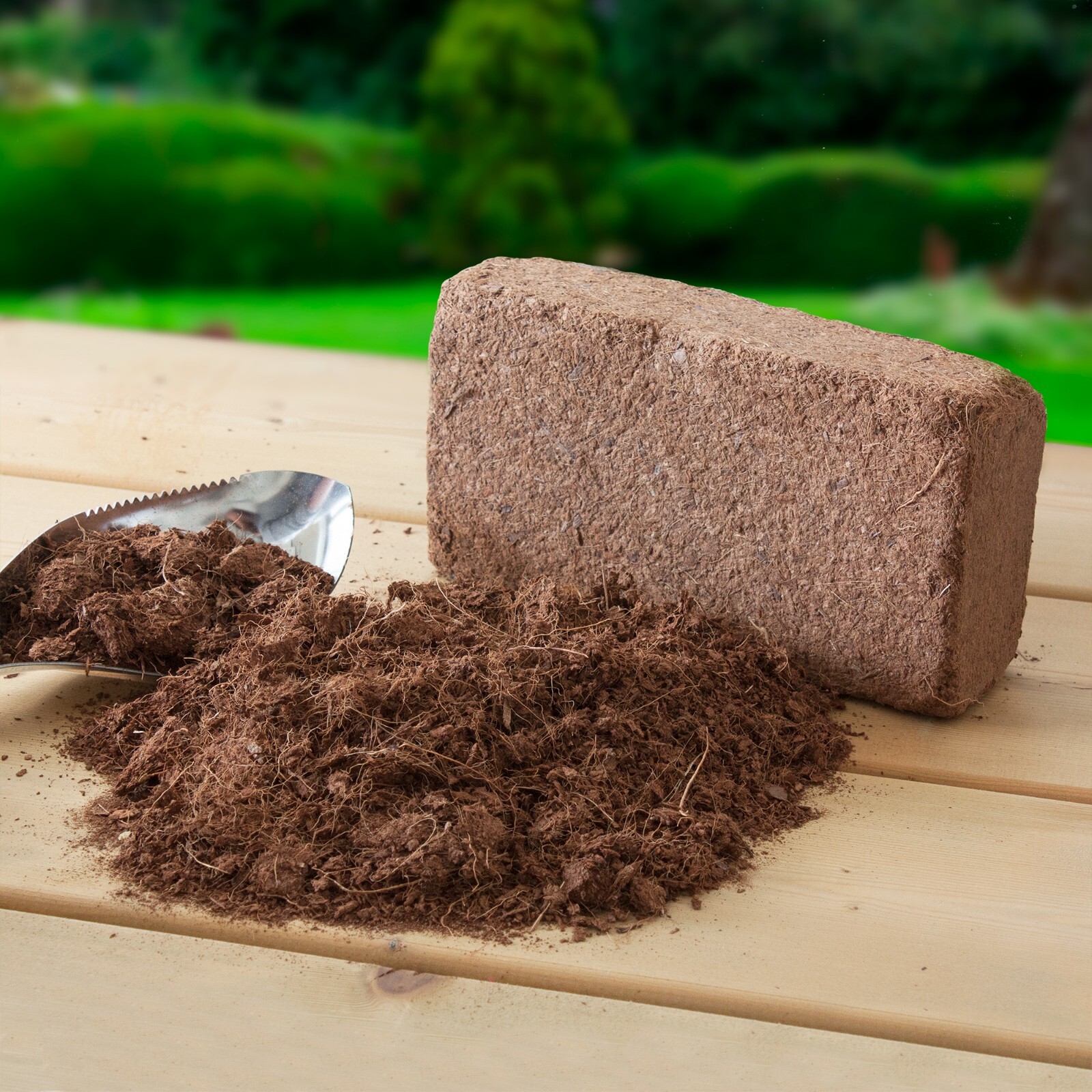 Compressed Coir Compost Bricks/Briquettes 9L - Ideal peat free compost ...