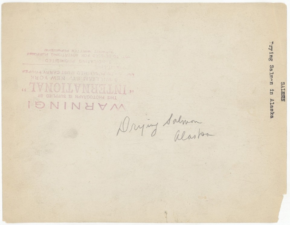 Vintage 1910s Alaska Salmon Fishing Camp Wooden Fish Drying Racks Photo ...