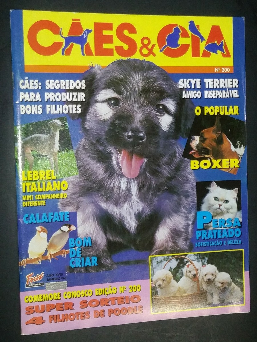 Boxer Dog Magazine Covers Chihuahua Boxer Mix" Bilder: Stock Fotos