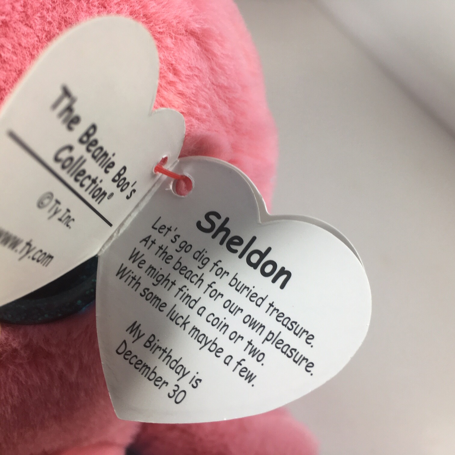 NEW! 2022 TY Beanie Boos - SHELDON the Octopus (Regular Size - 6 inch ...