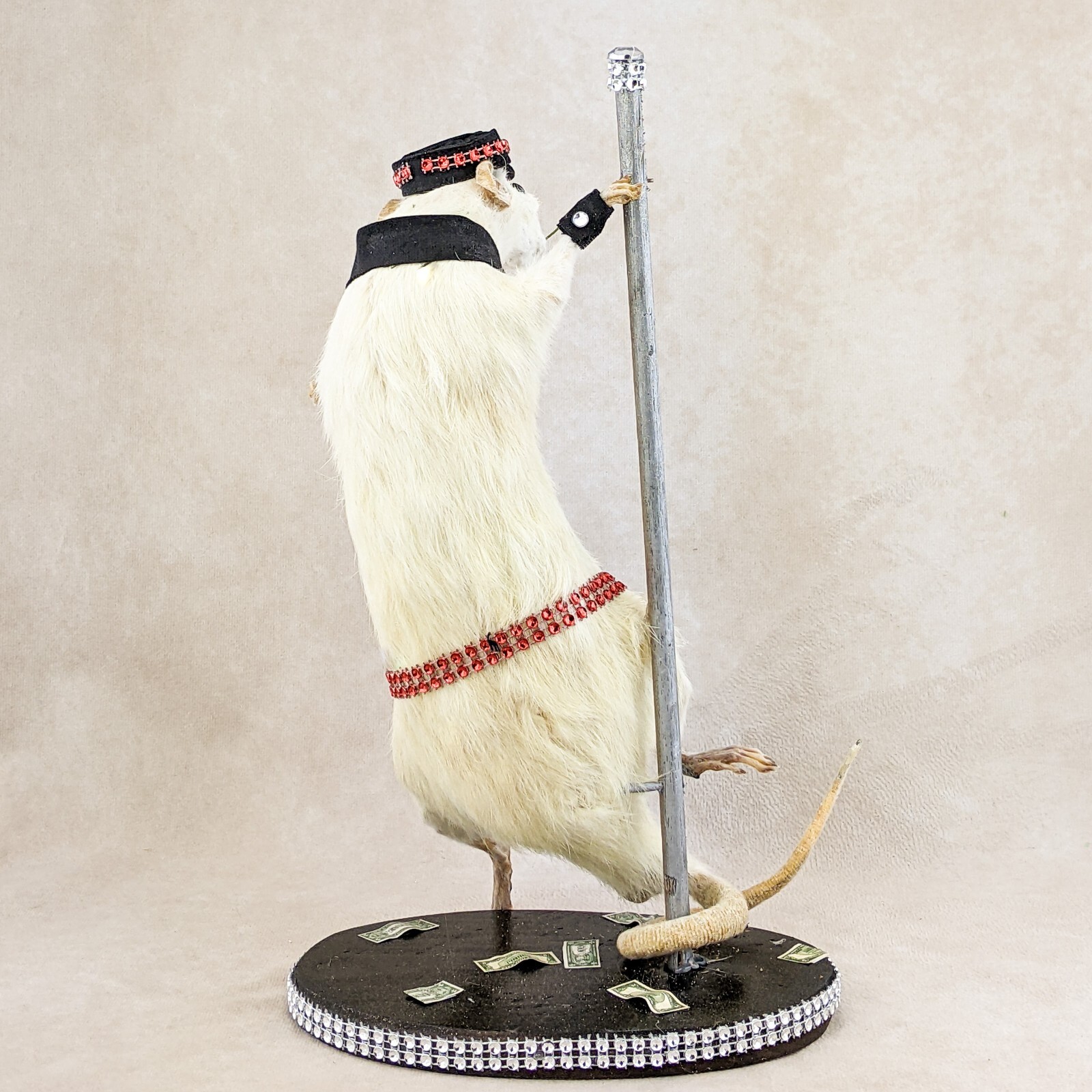 Stripper Rat Pole Burlesque Male Taxidermy Oddities Curiosities Decor ...