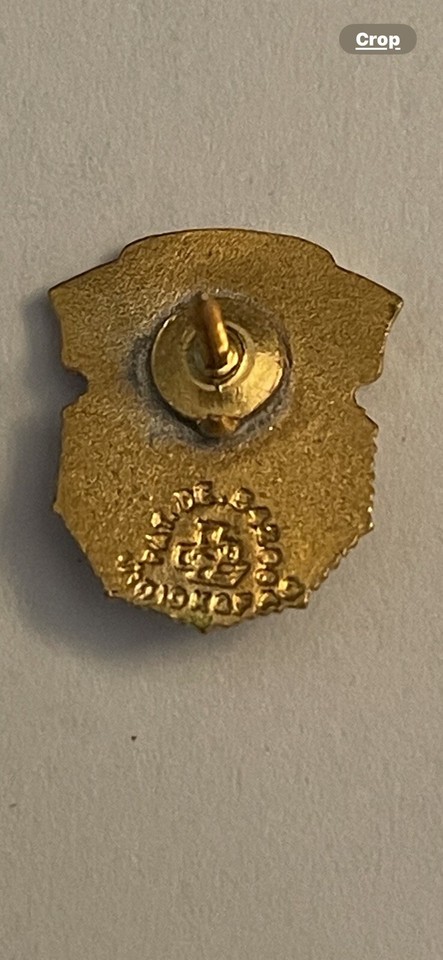 Vintage AMERICAN LEGION 15 Year Service Pin 1/10 10K Gold Filled | eBay