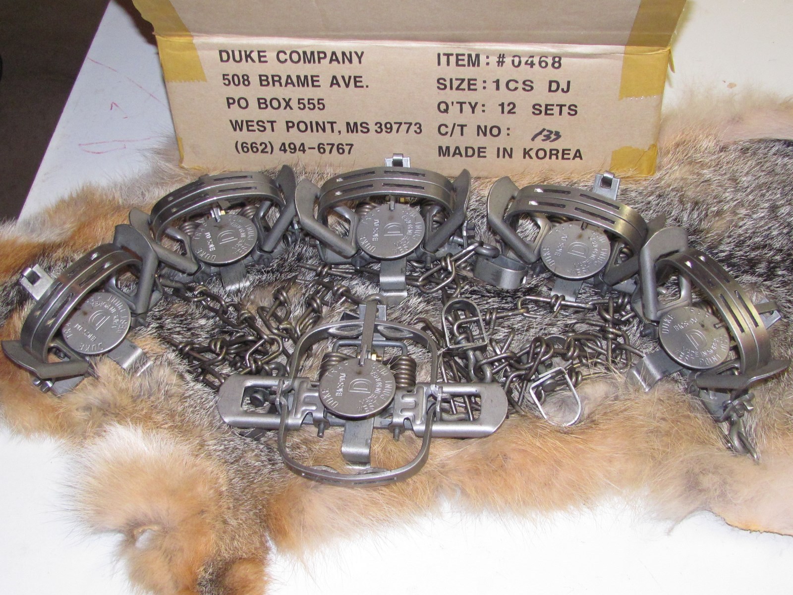12 Duke #1 Coil Spring double jaw Traps Raccoon Mink Nutria Muskrat NEW ...