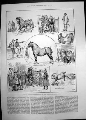 Old Sketches Shire Show Royal Agricultural Hall Inslington 1886 Horse ...