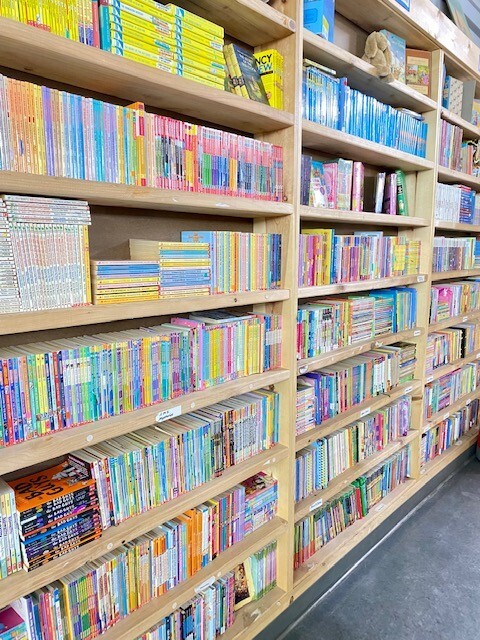 Lot of 30 kids young instant library chapter books bundle paperback ...