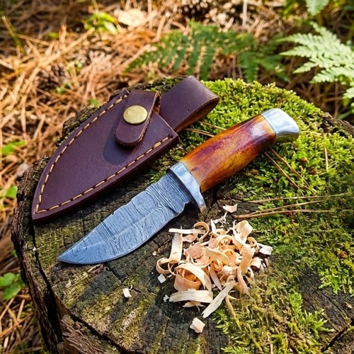 SHARD Damascus Steel Mini Neck Knife Fixed Blade Bone Handle Skinner ...