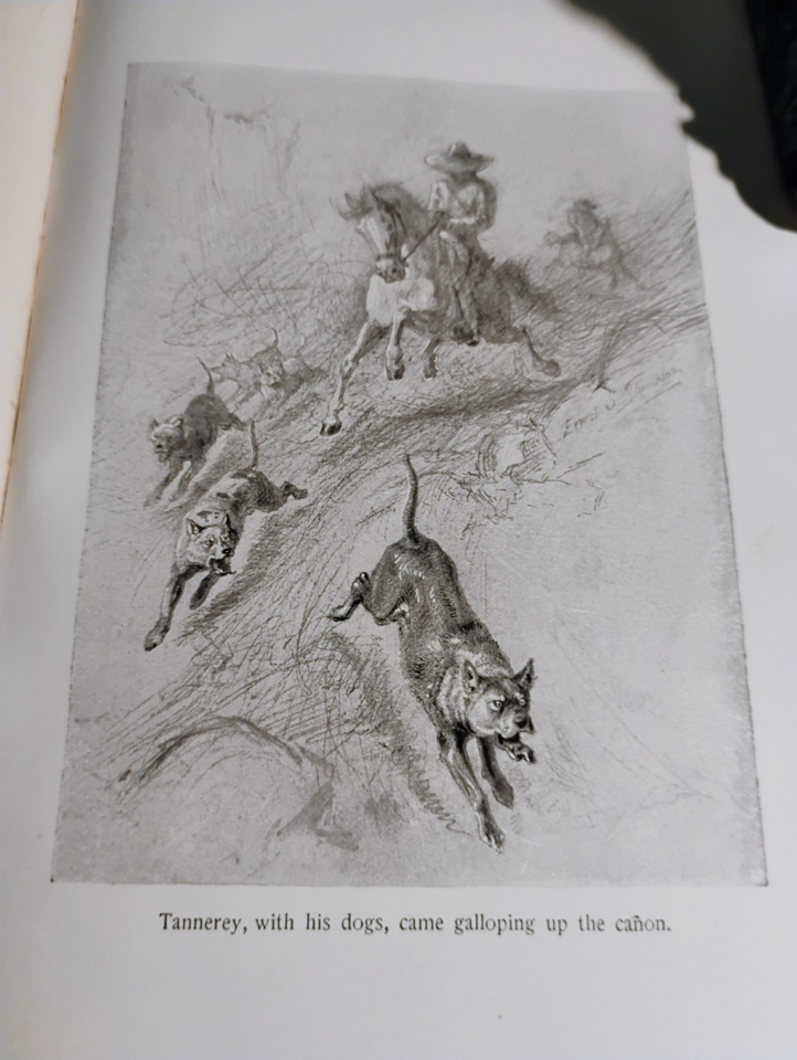 WILD ANIMALS I HAVE KNOWN, THOMPSON, ERNEST SETON, AI, VERIFIED 1ST EDITION G | eBay