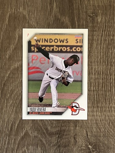 2022 Delmarva Shorebirds Cards from Team Set - Updated 05/13/2025 | eBay