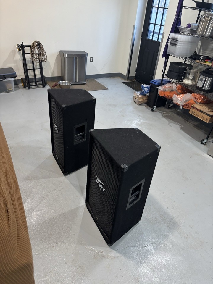 Two PEAVEY PV 115 800W Speakers (2-way, 15" Speaker, Compression ...