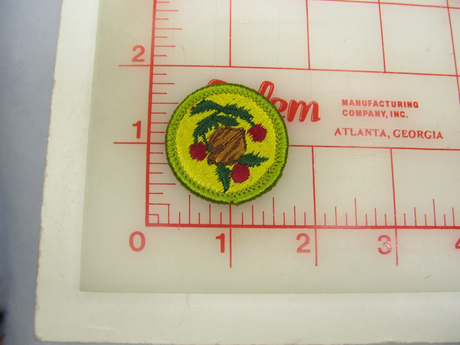 FRUIT AND NUT GROWING merit badge plastic backed patch (oP) | eBay