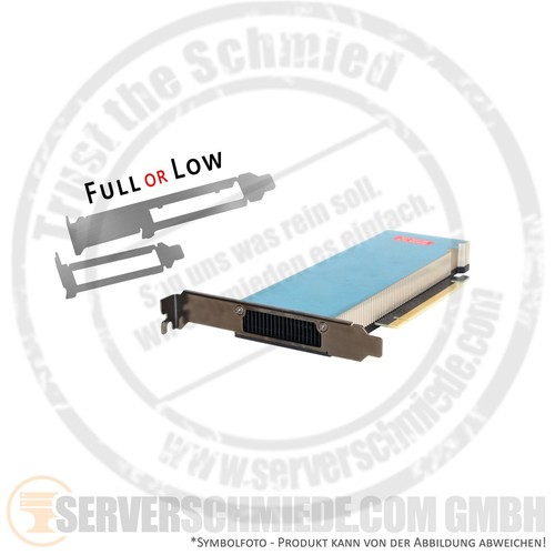 Nvidia L4 24GB Tensor AI Computing Server GPU Fanless 70W +NEW+ | eBay