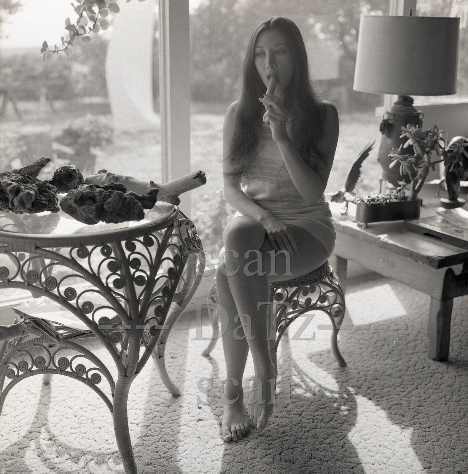 1960s Ron Vogel Negative-sexy pinup girl Frances Lee-cheesecake v210823 | eBay