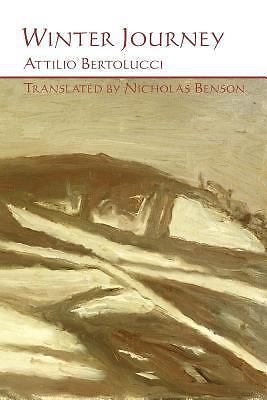 Faulkner from Within : Destructive and Generative Being in the Novels ...