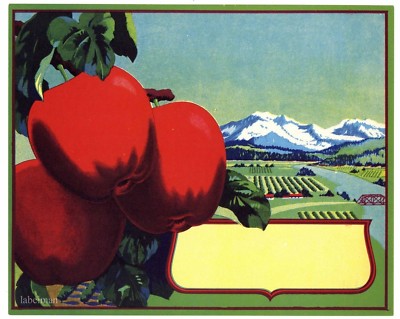 Stock Label, Three Red Apples, Mountain **AN ORIGINAL APPLE FRUIT LABEL ...
