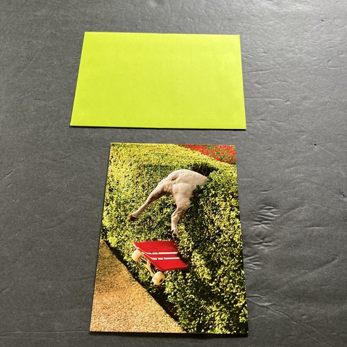 AVANTI PRESS HAPPY BIRTHDAY GREETING CARD New with Envelope Skate ...