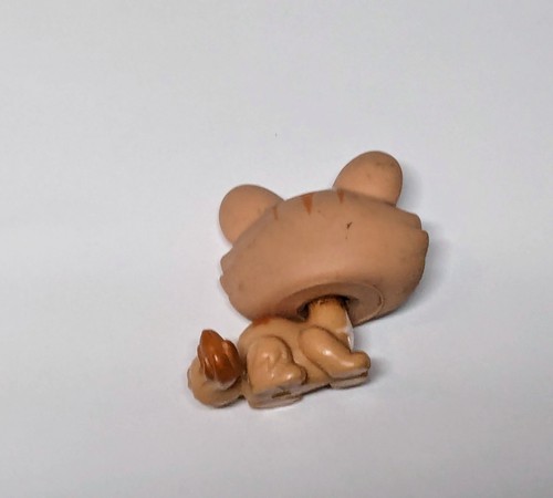 Littlest Pet Shop CAT Orange Kitten # 649 Bobblehead LPS Hasbro Cute ...