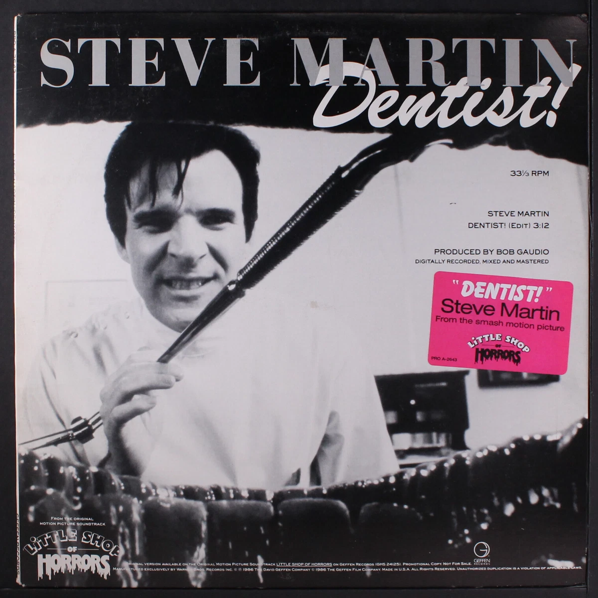 Steve Martin Dentist