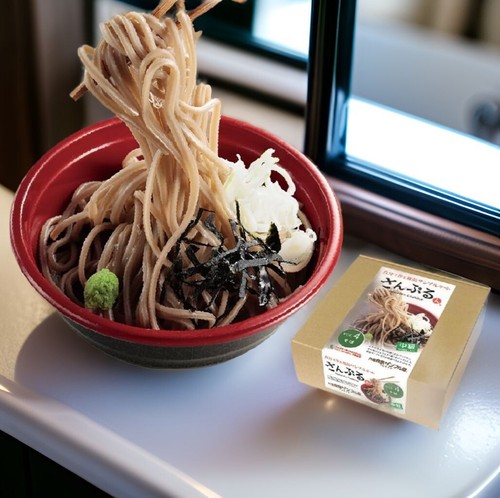 Ganso Shokuhin Sample Shop Official Food Sample Making Kit Japanese ...