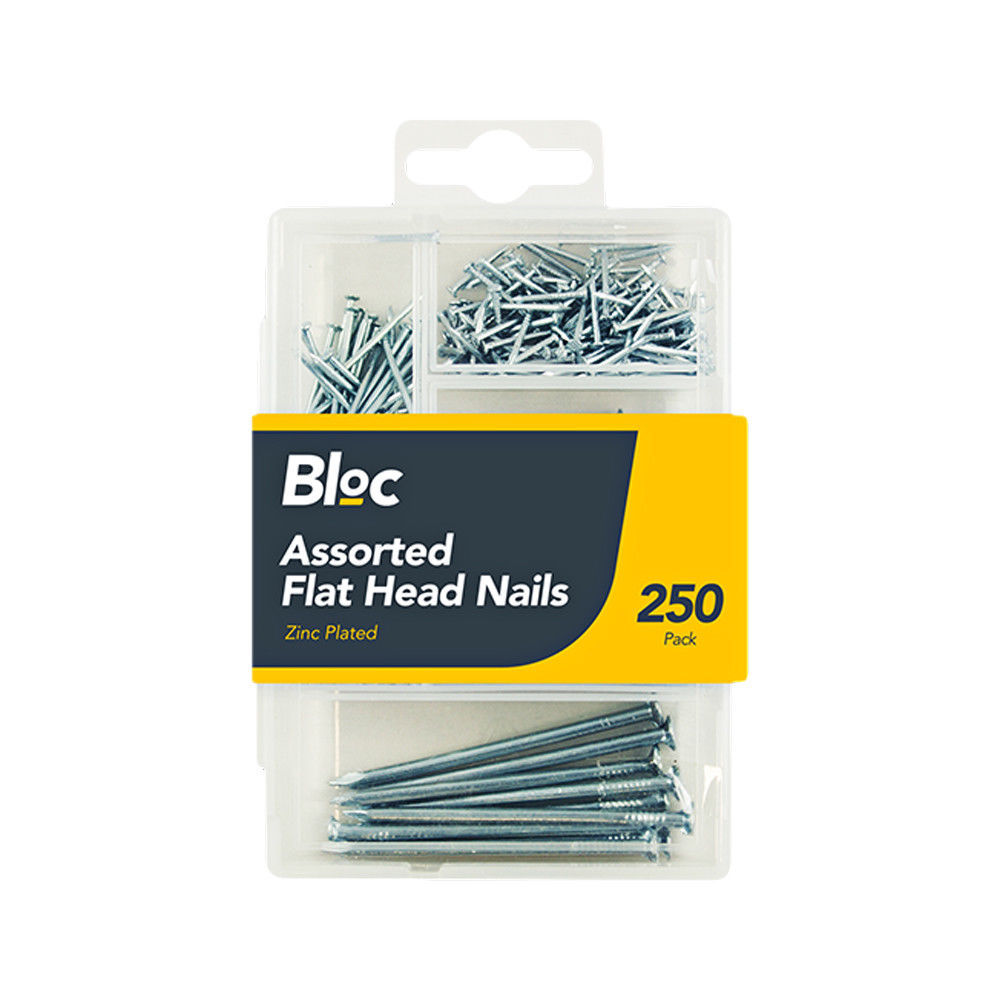 250 Assorted Flat Head Nails Zinc Plated Steel DIY Carpentry Pins UK ...