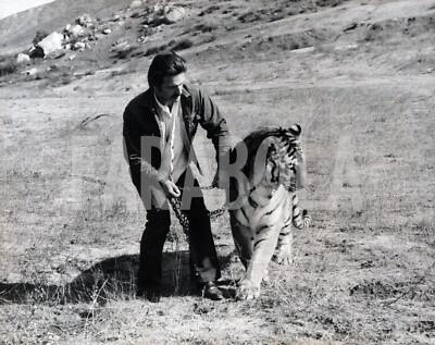 Altes Pressefoto USA, John Weinhart Spielt Mit La Tiger, | eBay