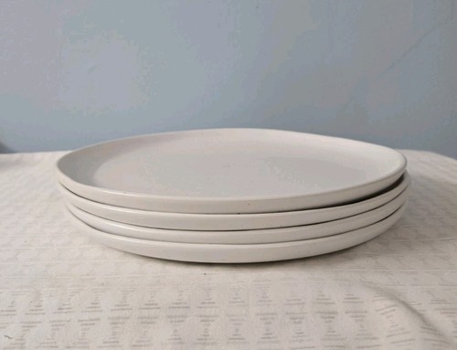 Fable The Dinner Plates Speckled White - Set of 4 | eBay
