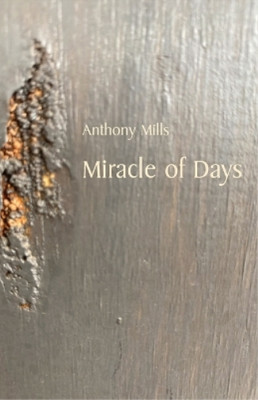 Anthony Mills Miracle of Days (Poche) | eBay