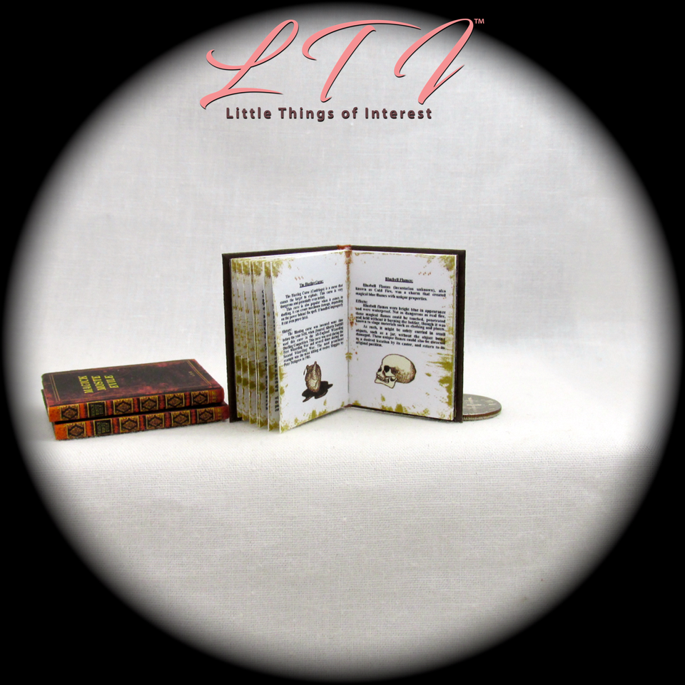 1:6 Scale MAGICK MOSTE EVILE Illustrated Readable Spell Book Harry Potter | eBay