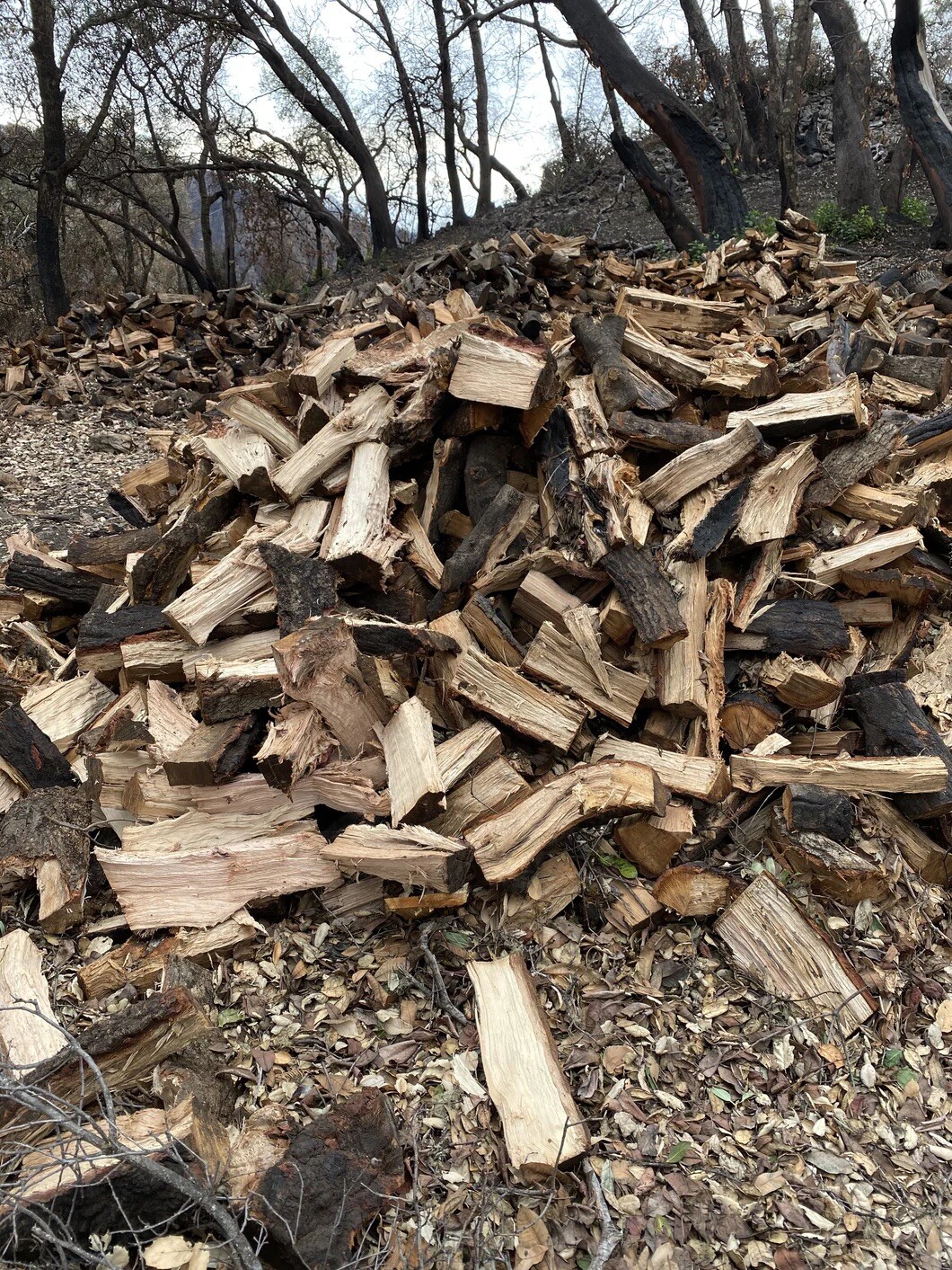 Firewood Bundles 1 For $7. 8 Logs In each Bundle. 20-15 In Per Bundle ...