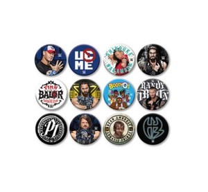 Lot of 12 1.25" Pinback Button WWE Wrestling Superstars (1¼" Pins ...