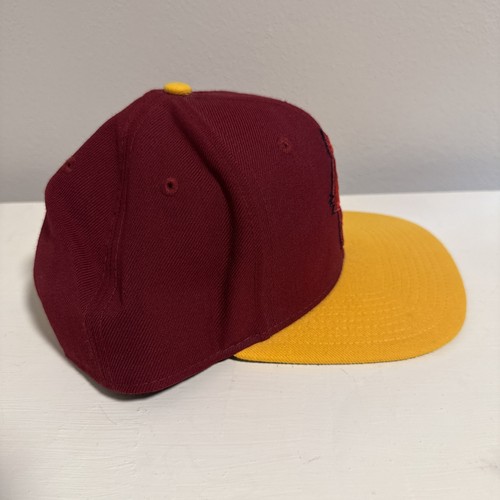 Iowa State Cyclones Walking Cy New Era SnapBack Hat | eBay