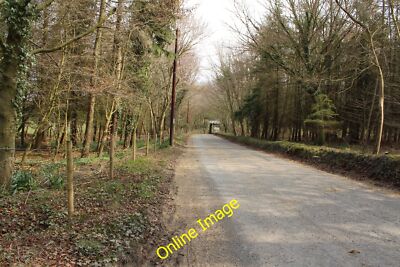 Photo 12x8 Road to Ardwell Ardwell/NX1045 c2013 | eBay