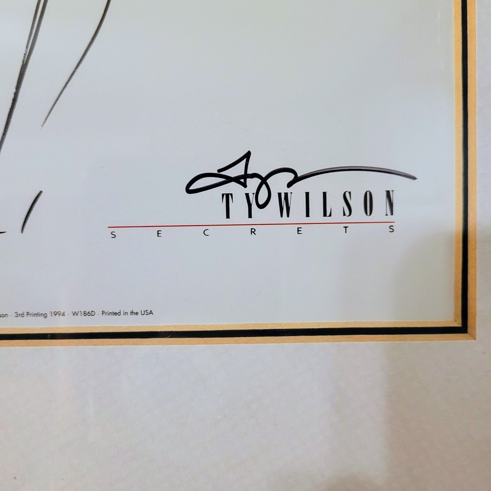 TY WILSON "Secrets" framed | eBay