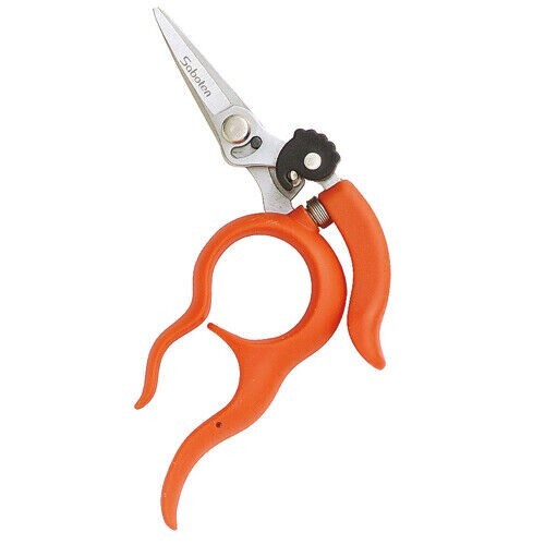 Cactus Harvest scissors that can be used with both hands Stainless ...