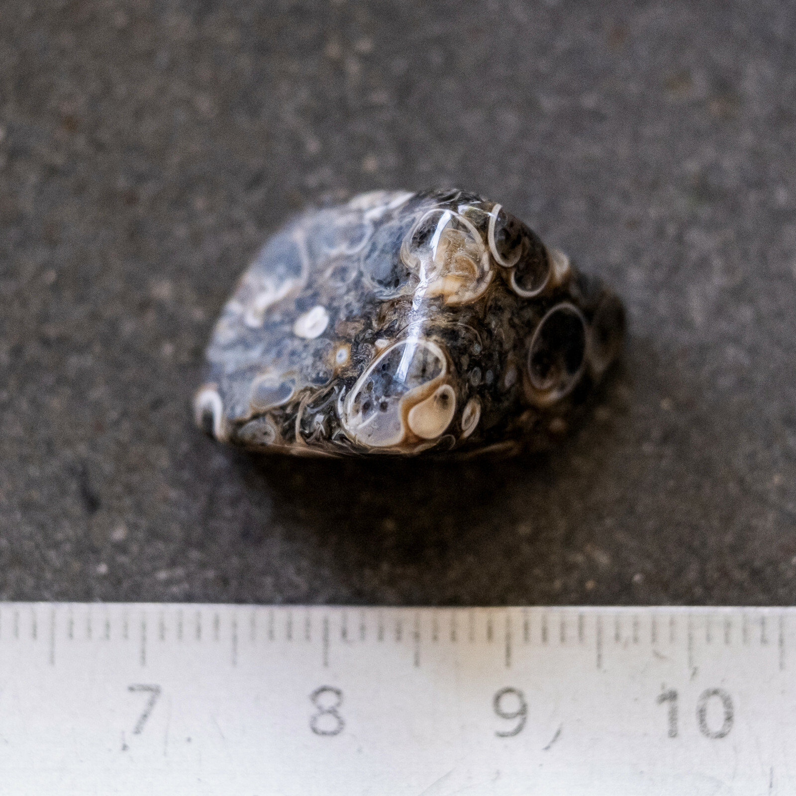 AGATE FOSSILE OU TURITELLE Pierre roulée - Lithothérapie Minéraux ...
