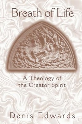 Denis Edwards Theology of the Creator Spirit (Poche) | eBay