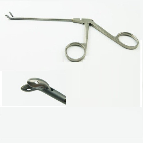 Nasal Tissue Forceps Left Curved head for Nose 3 mm od and id 2.5 mm | eBay