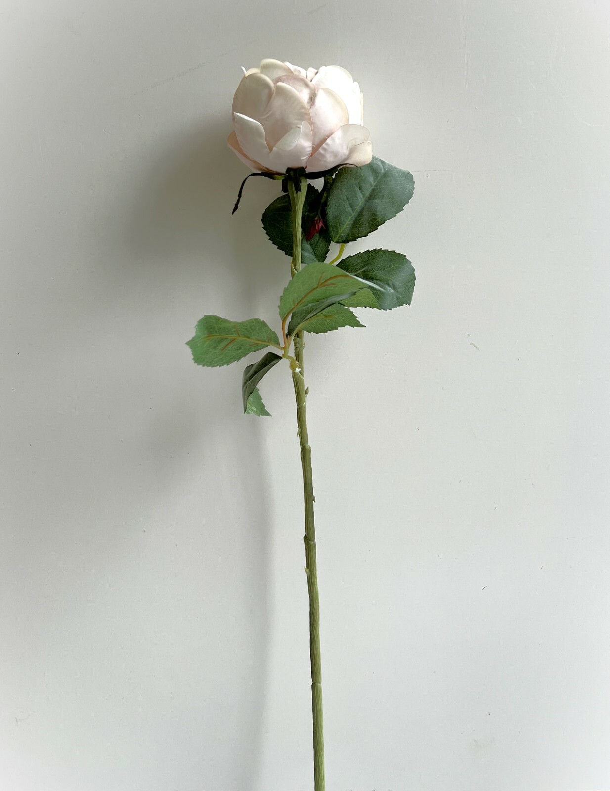 English Rose Stem Artificial Flower Cabbage Roses Beige Blush Silk ...