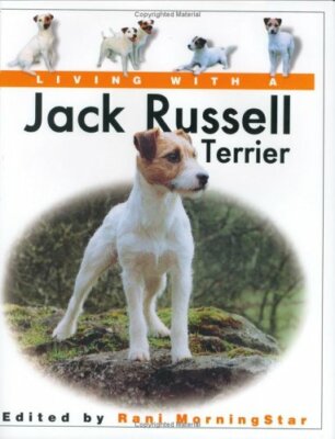 Living with a Jack Russell Terrier Hardback Book The Fast Free Shipping ...