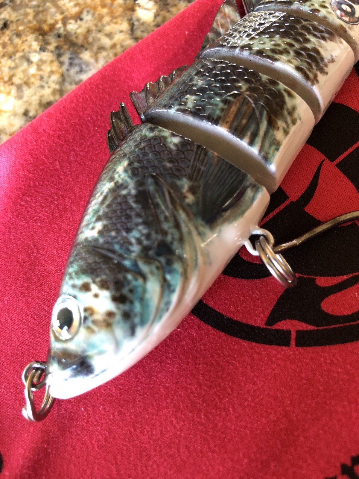 6 in. Baby Ling Cod, Cunner, Tautog Swim bait. Incredible Action. SLAY ...