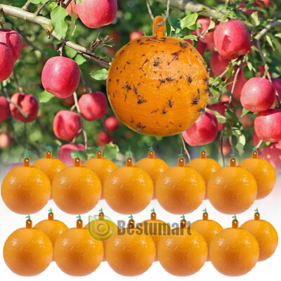 2-20 PCS Sticky Fruit Fly Trap Balls Catcher Insect Killer for Garden ...