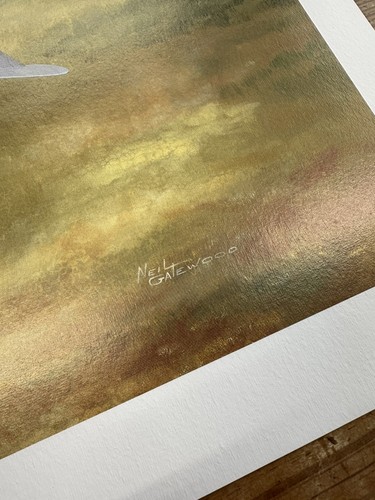 "Huffer Puffer" Crop Duster Delta Airlines Air - Neil Gatewood art ...