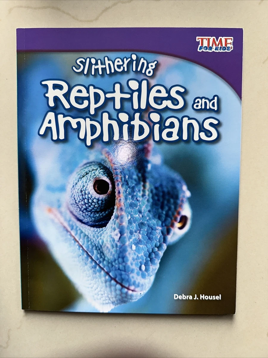 Reptiles And Amphibians For Kids