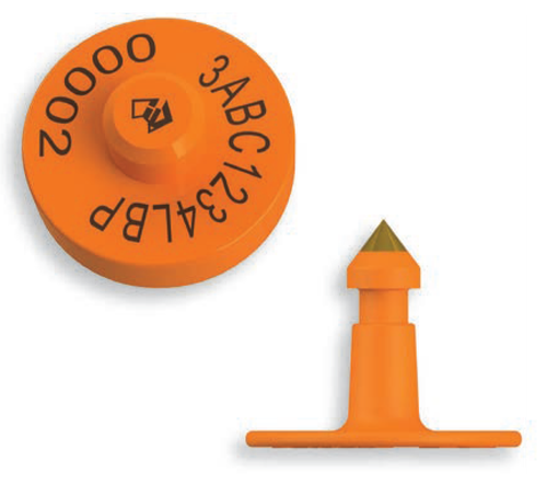 LEADER NLIS ENVIRO CATTLE EAR TAGS ELECTRONIC HDX RFID COW BULL WHITE ...