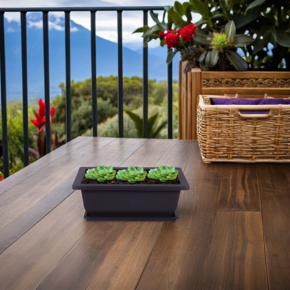 5 Pcs Potted Plant Plastic Planter Rectangle Pots for Succulents | eBay ...