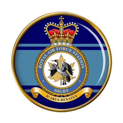 RAF Station Digby Pin Badge | eBay UK