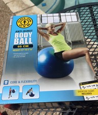 Gold's Gym 65cm Anti-burst StayBall Blue Exercise Ball for sale online ...