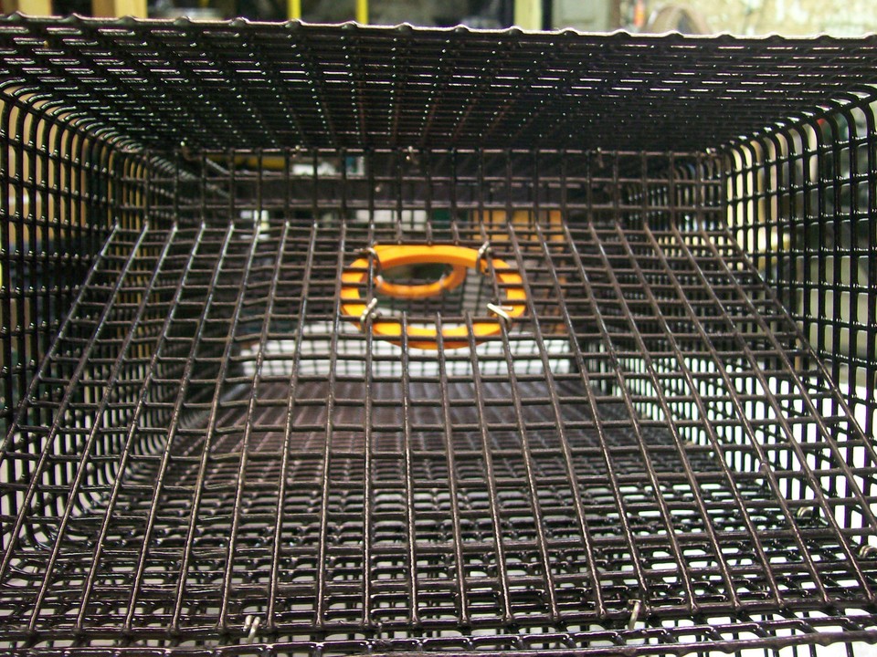 E-Z Catch Premium Quality Hand Made Asian Crab Bait Pot for Blackfish ...